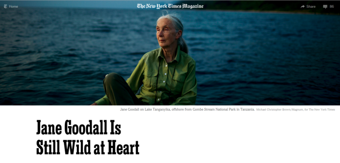 Top 10 Moments of 2015 – Page 2 – Jane Goodall's Good for All News