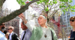 The Tree that Survived 9/11 – Jane Goodall's Good for All News