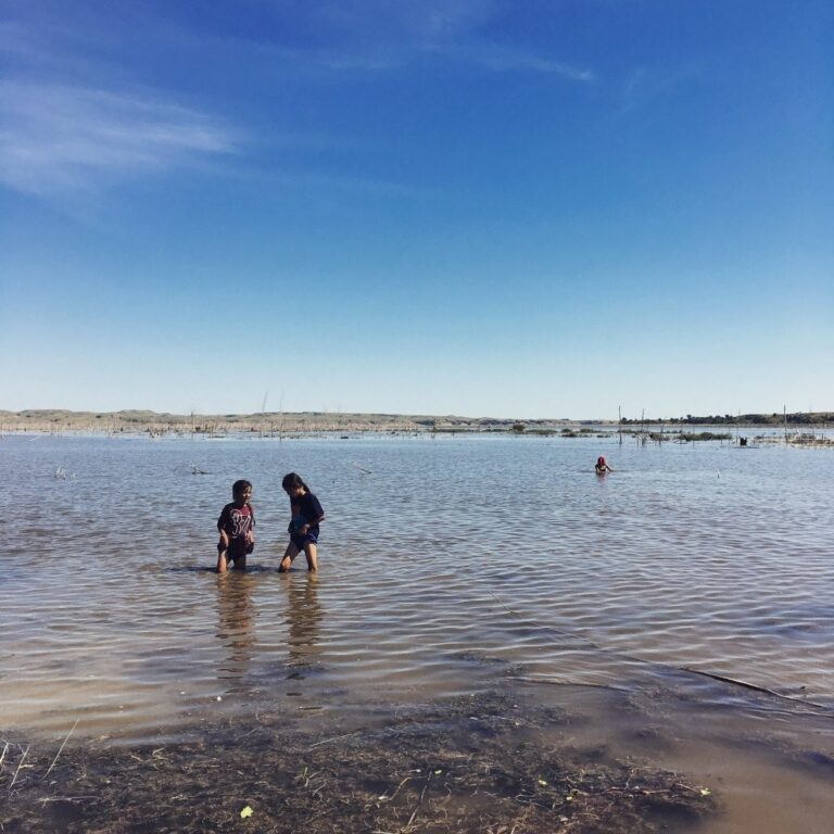 Jane Speaks: DAPL - Protectors of Sacred Water Draw the Line