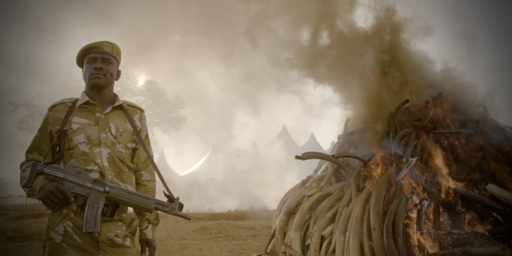 When the Buying Stops, the Killing Can Too: “The Ivory Game” Review ...