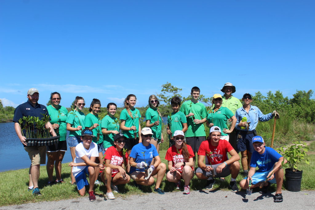 mangrove - Jane Goodall's Good for All News