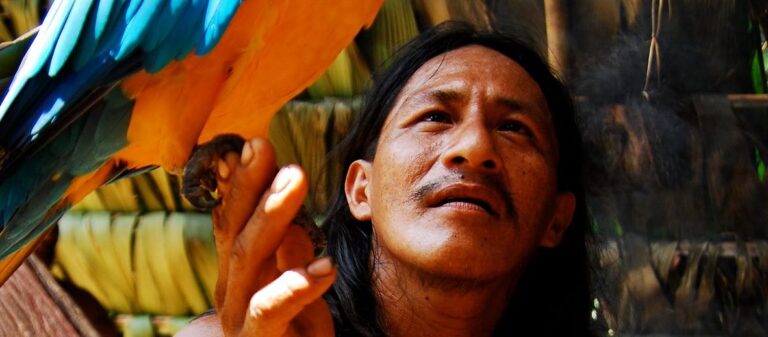 The Amazon You Have Not Seen is Disappearing: Yasuni Man