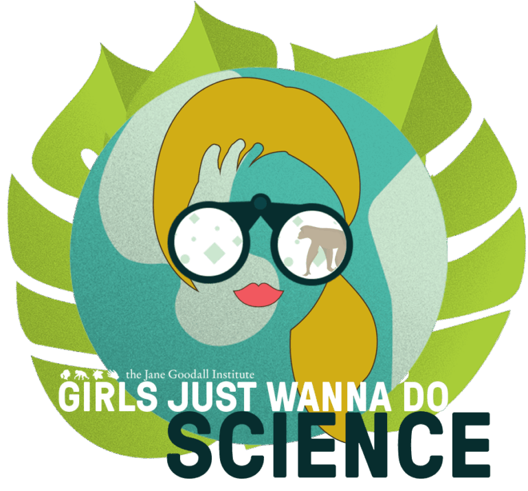 Why Aren't There More Wonder Women in STEM?