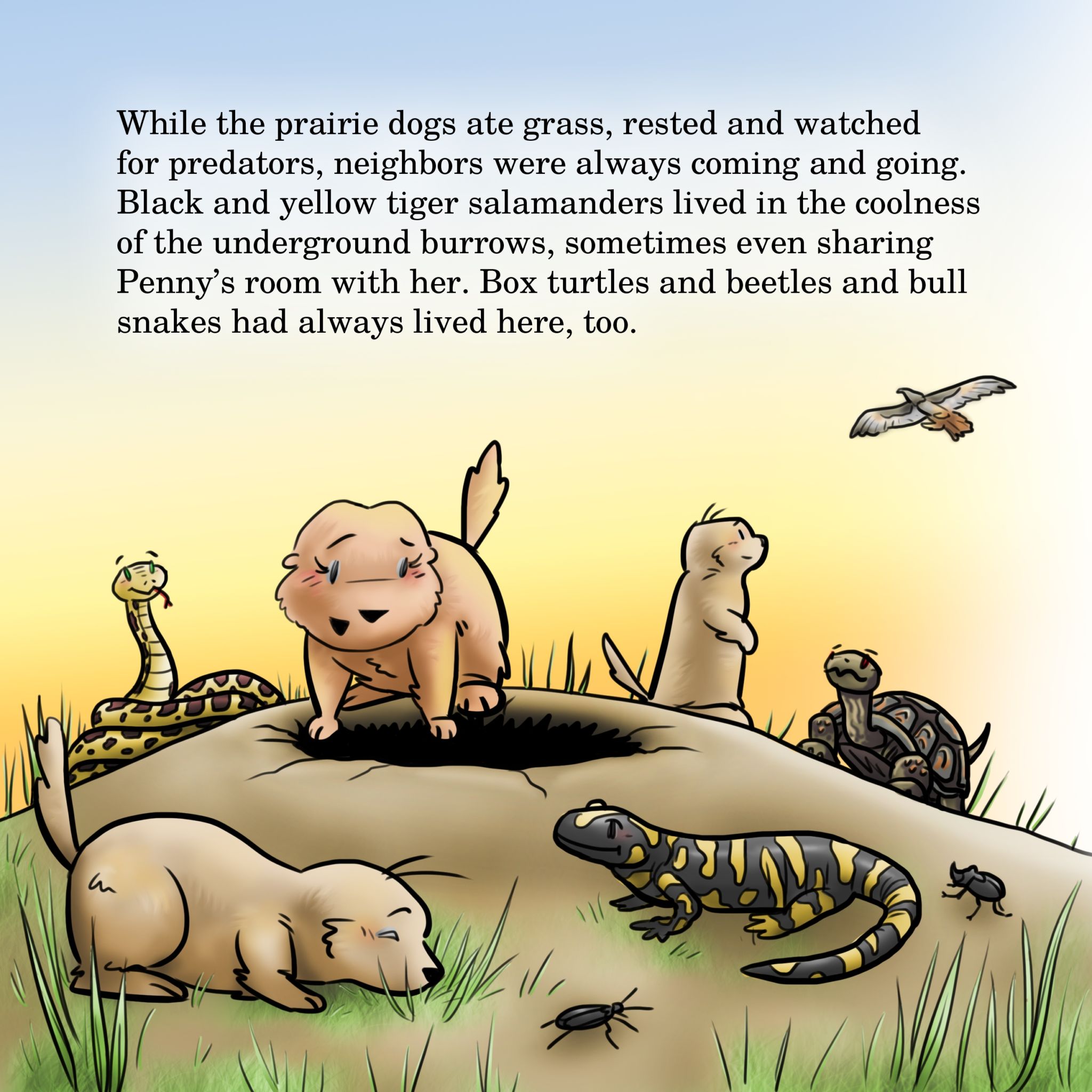 Saving the Prairie Dogs One Children's Book at a Time - Jane Goodall's ...