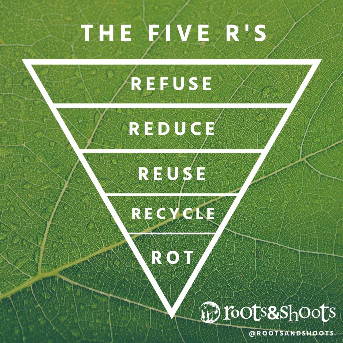 Use the Five R’s to Do a Waste Audit – Jane Goodall's Good for All News