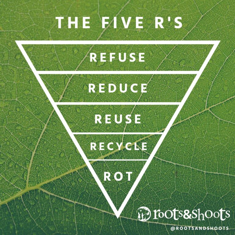 Use the Five R’s to Do a Waste Audit – Jane Goodall's Good for All News