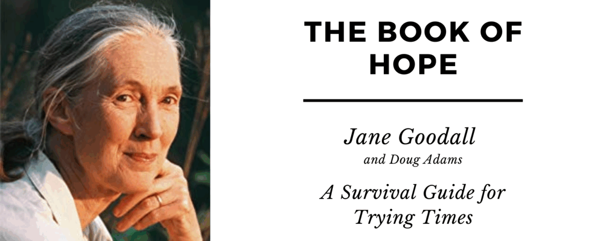Dr. Goodall’s New Book “Book of Hope” Provides Hope in 2021 – Jane ...