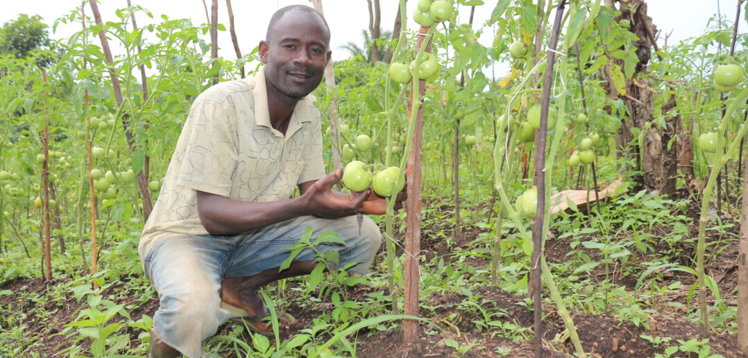 Composting for Forest Protection & Sustainable Development