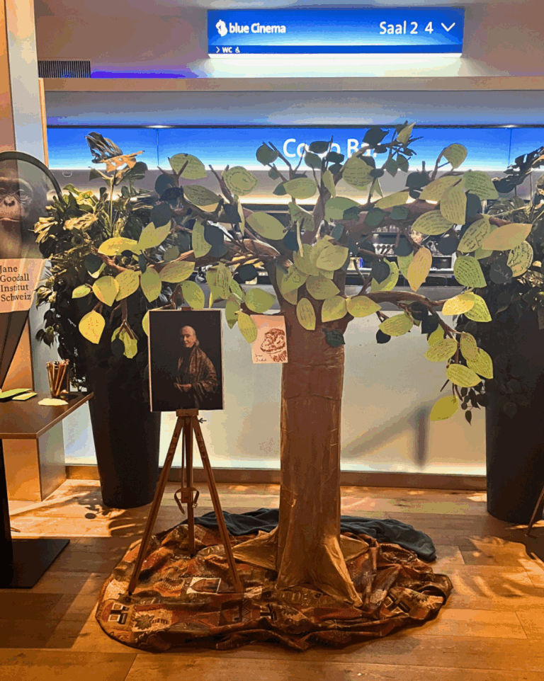 The World Mourns Dr. Jane Goodall – Jane Goodall's Good for All News