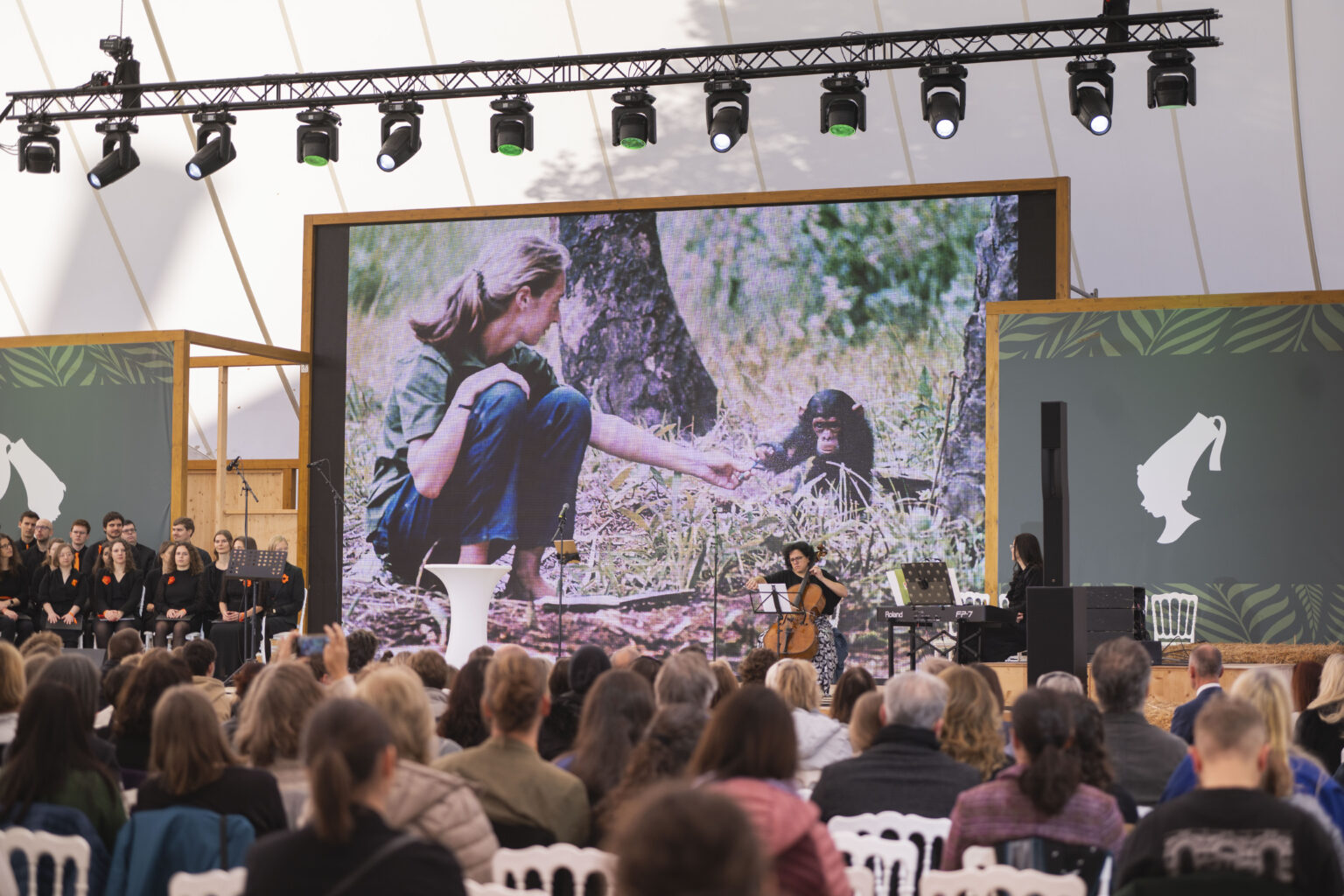 The World Mourns Dr. Jane Goodall – Jane Goodall's Good for All News