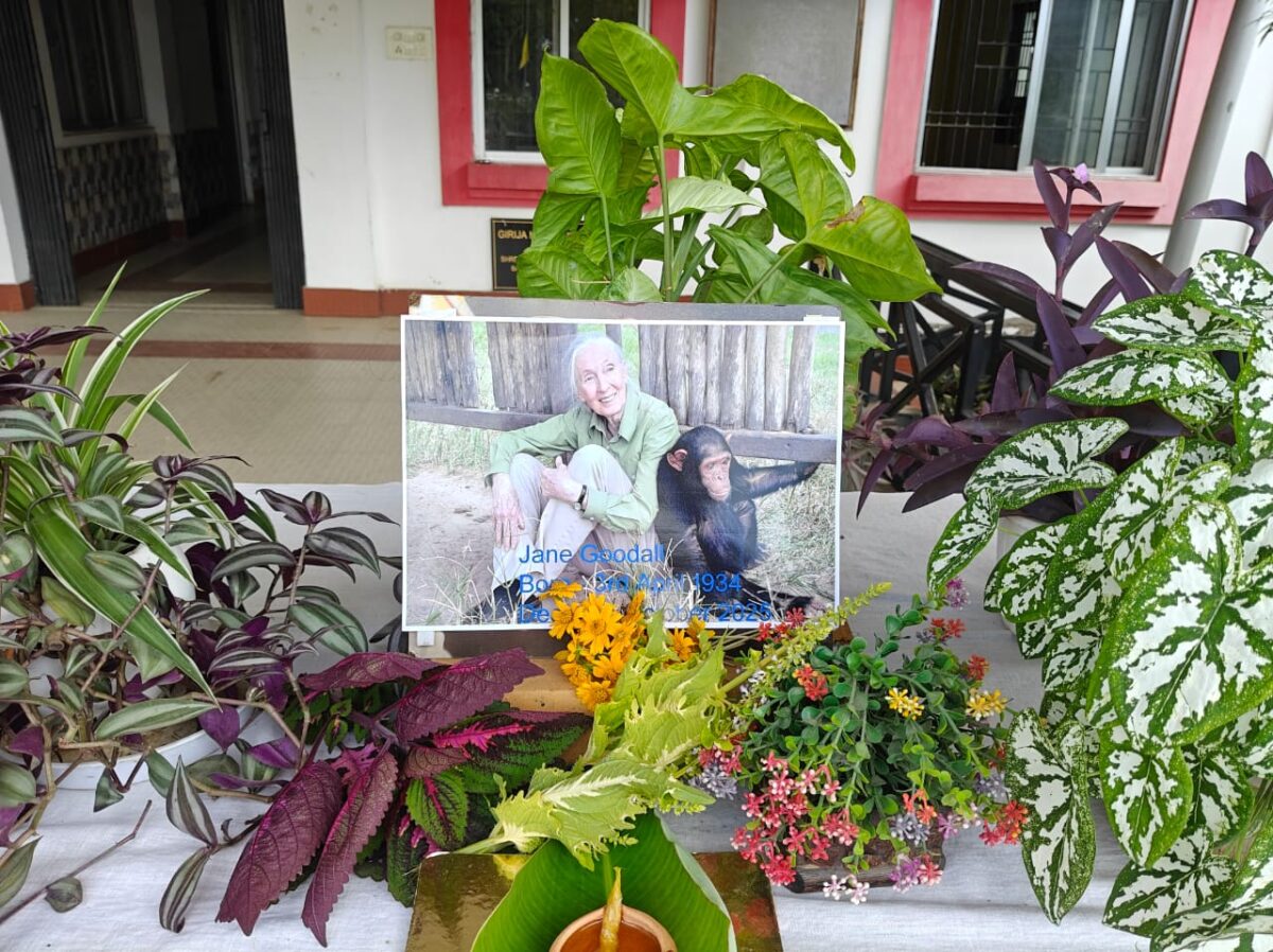 The World Mourns Dr. Jane Goodall – Jane Goodall's Good for All News